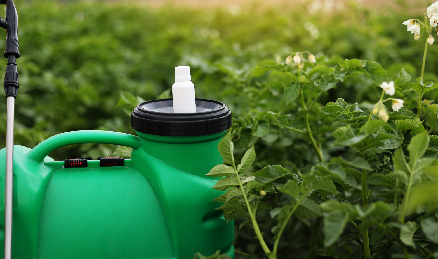 Effective Herbicides in South Africa: Weed Control Solutions