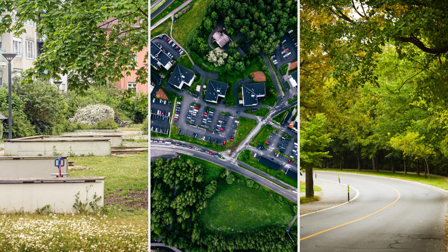 Residual Systemic Herbicide for Urban Areas - TWO STEP SC