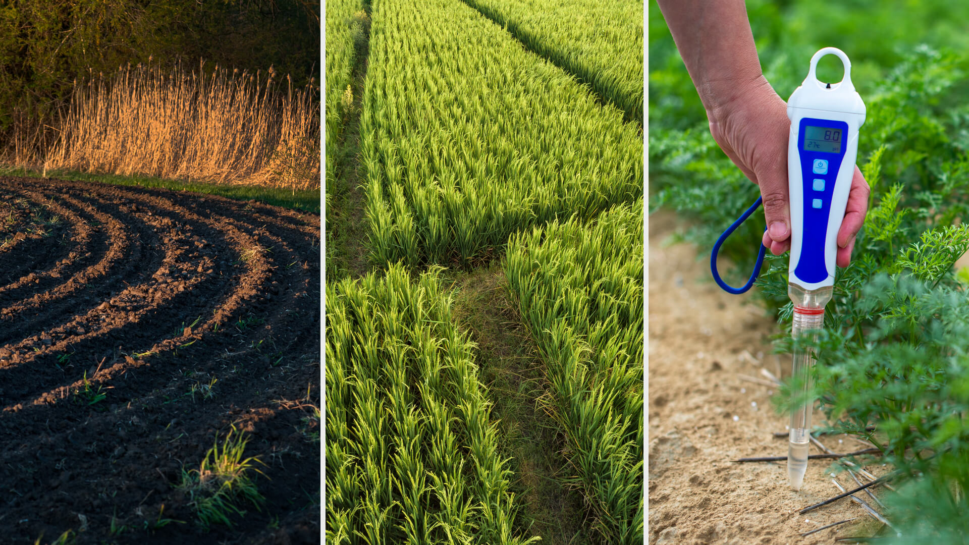 pH Buffer: QUATTRO-BUFF for Enhanced Chemical Efficiency