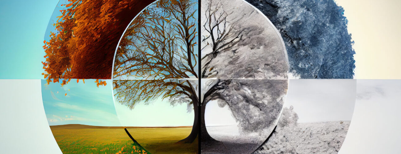 Seasonal Granular Herbicide Timing Guide: Winter & Summer